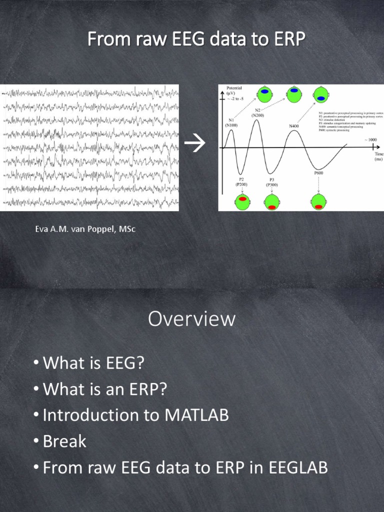 From Raw Eeg Data To Erp: Eva A.M. Van Poppel, MSC | PDF ...