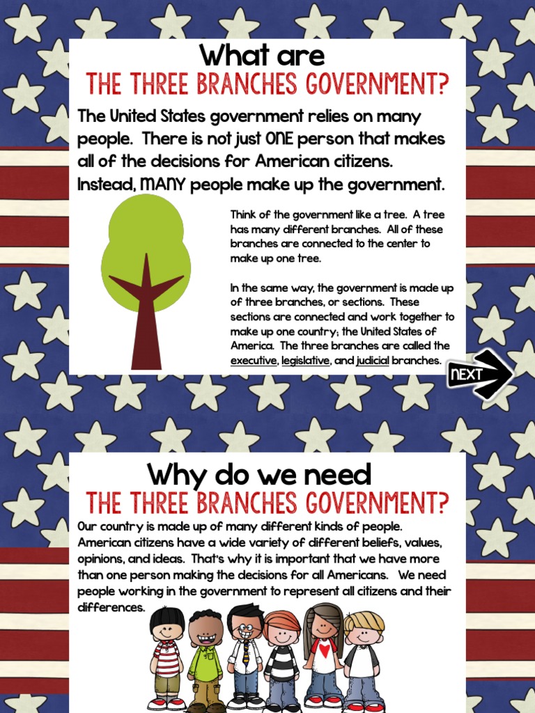 Understanding US Government Basics | PDF | United States Congress ...