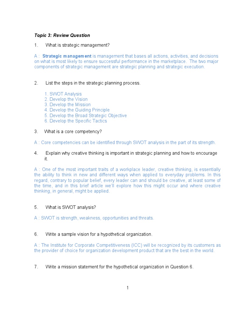 A Comprehensive Strategic Management Plan for a Hypothetical ...