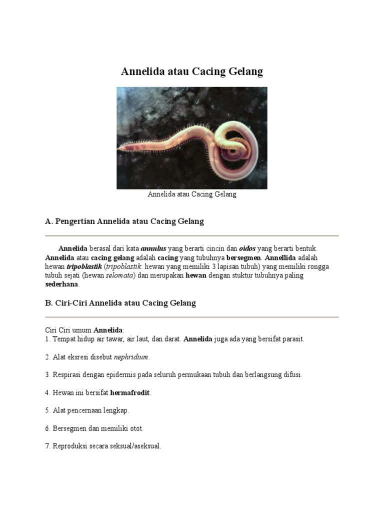 Annelida Atau Cacing Gelang | PDF