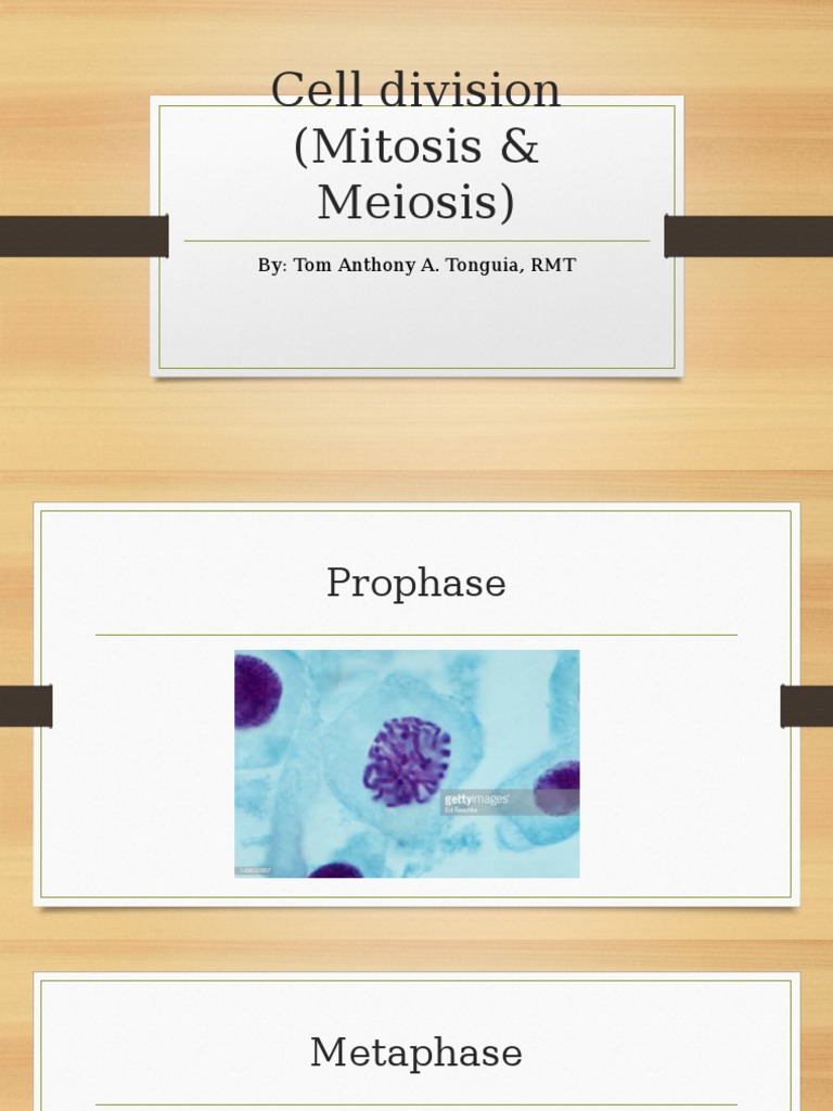 Cell Division (Mitosis & Meiosis) | PDF