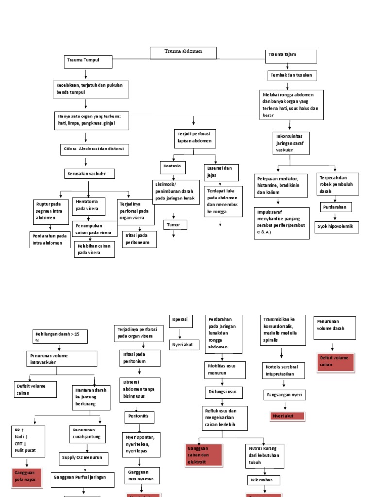 WOC Trauma Abdomen KEVIN WU | PDF
