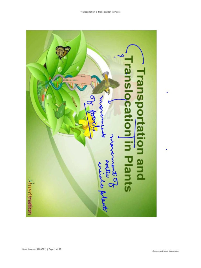 Transportation & Translocation in Plants | PDF | Histology | Tissue ...