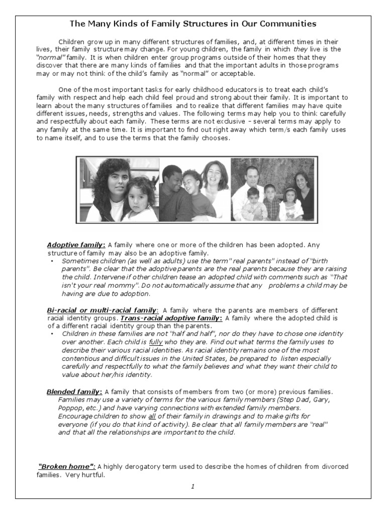 Family Types | PDF | Family | Adoption