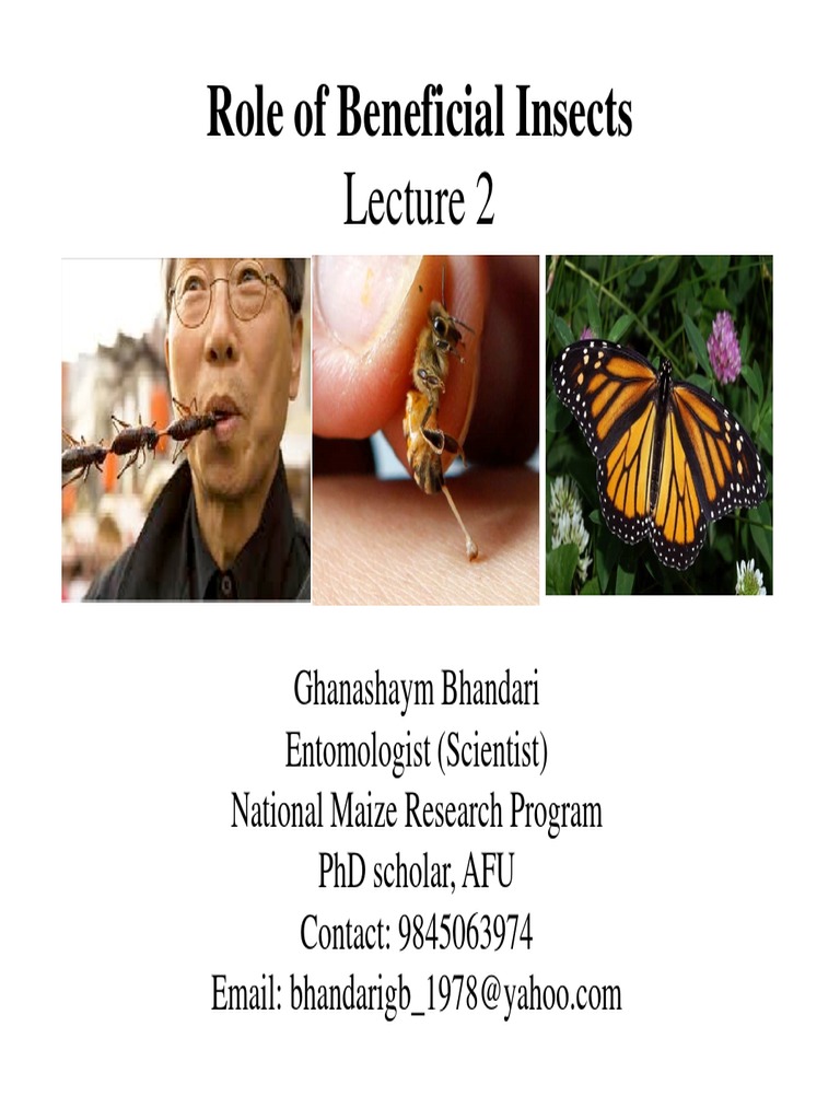 Beneficial Insects: Roles & Impact | PDF | Biological Pest Control ...