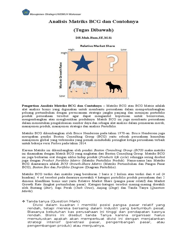 Analisis Matriks BCG Dan Contohnya | PDF