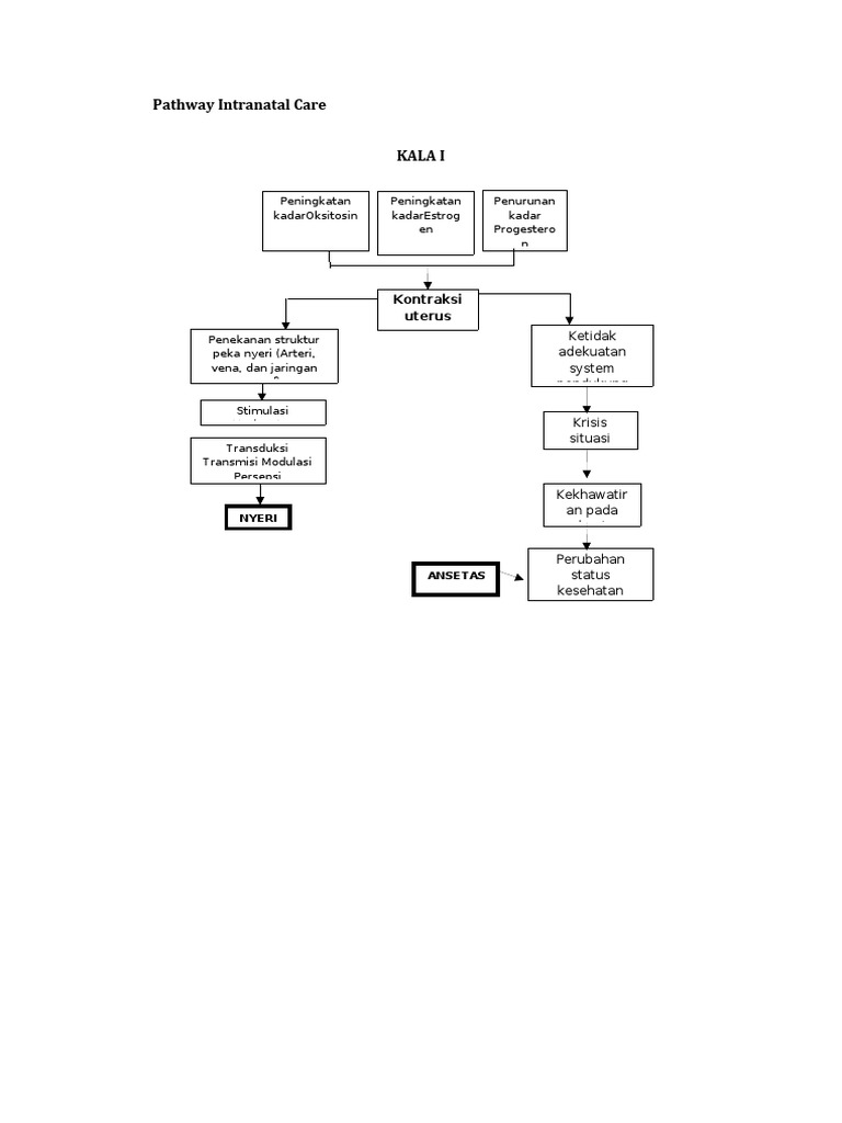 Pathway Intranatal Fix | PDF