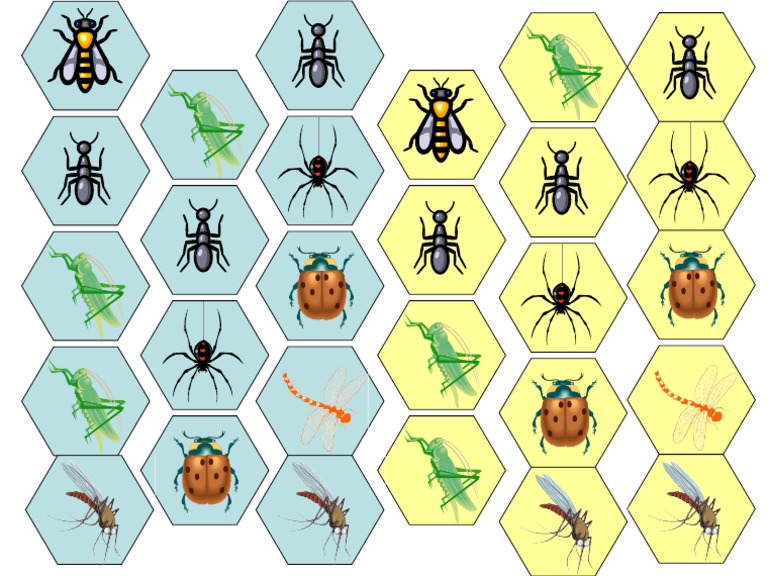 HIVE-Juego Print and Play | PDF