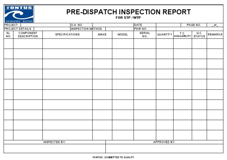 Pre-Dispatch Inspection Report: For STP / WTP | PDF