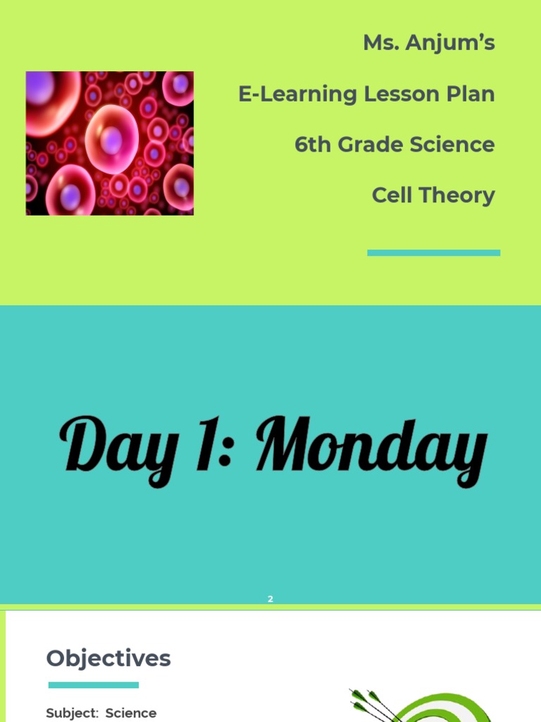 Zainab Anjum-Teacher E-Learning Lesson Plan 1 | PDF | Educational ...