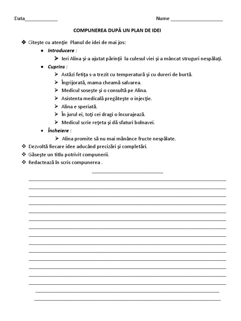 Compuneri Dupa Plan Idei | PDF