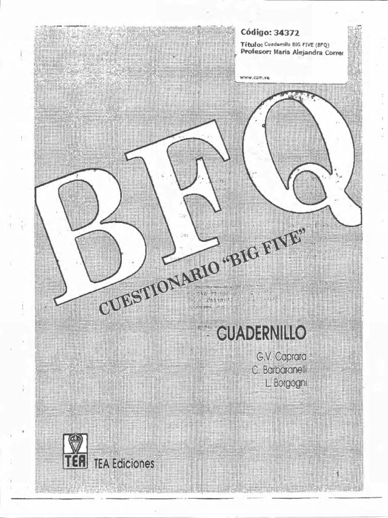 Big Five - Cuadernillo PDF | PDF