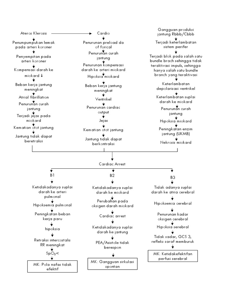 [JUDUL]: Gangguan Sirkulasi Sistemik Akibat Aterosklerosis dan Gangguan ...