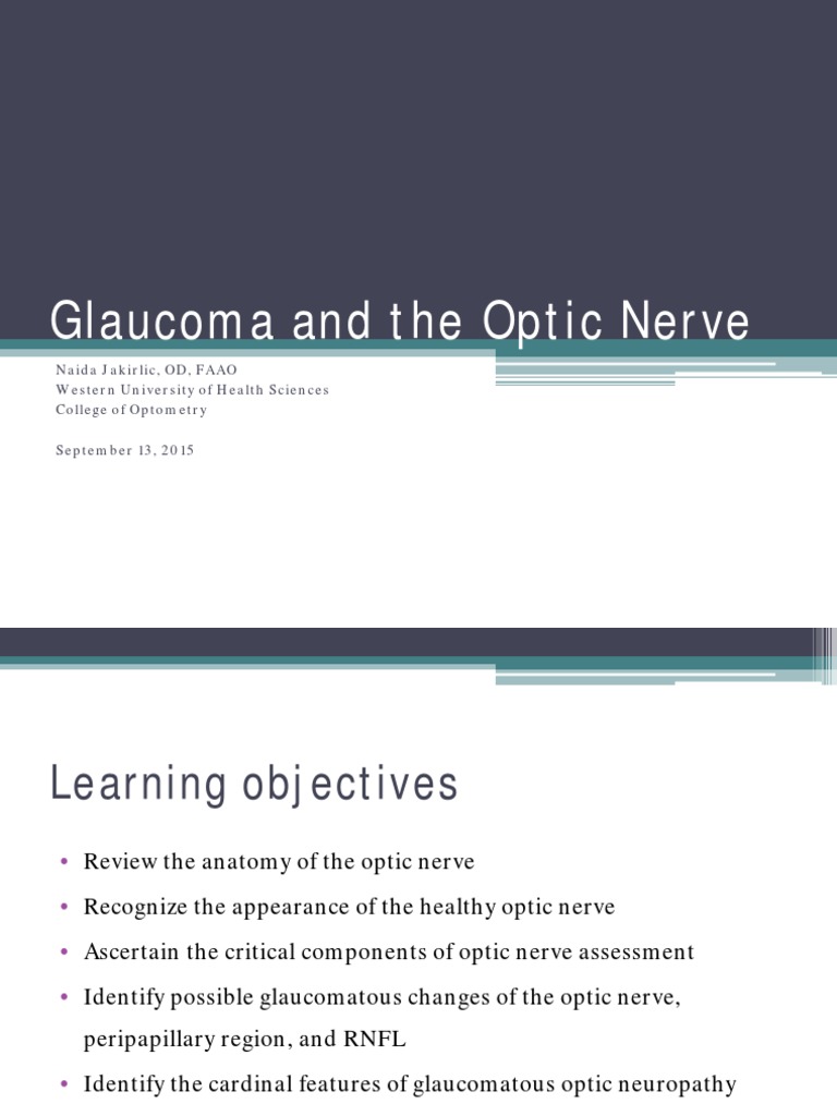 Optic Nerve & Glaucoma Insights | PDF | Retina | Glaucoma