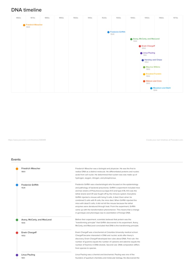 DNA Timeline | PDF | Dna | Biochemistry