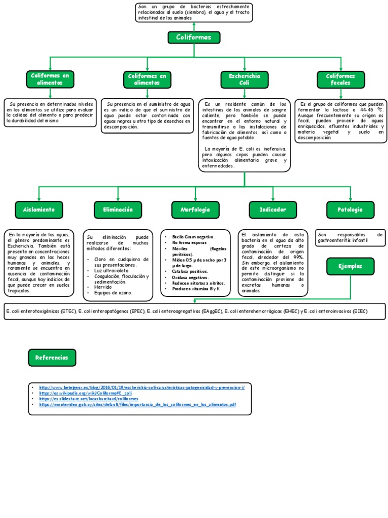 Coliformes | PDF | Escherichia coli | Microbiología