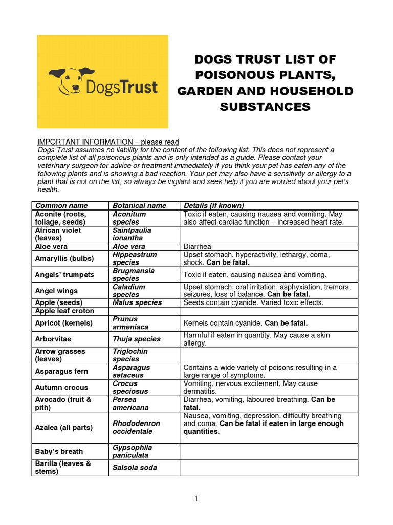 Dogs Trust List of Poisonous Plants, Garden and Household Substances ...