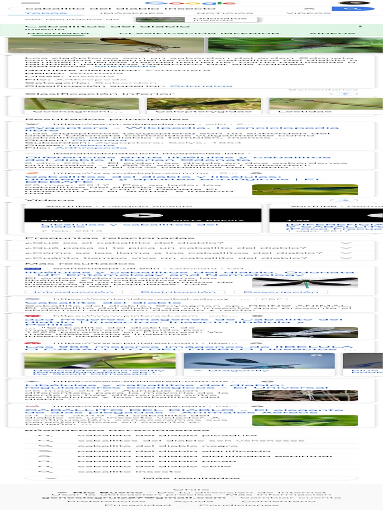 Caballito Del Diablo Insecto - Buscar Con Google | PDF | Libélula ...