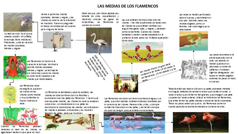 Cuento Las Medias de Los Flamencos | PDF | Naturaleza