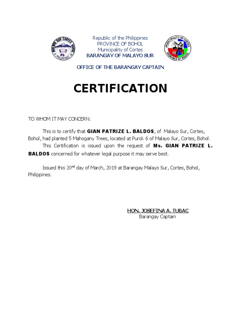 Certification: Barangay of Malayo Sur Office of The Barangay Captain | PDF