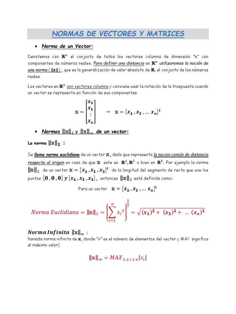 Normas de Vectores y Matrices PDF | PDF | Norma (Matemáticas) | Vector ...
