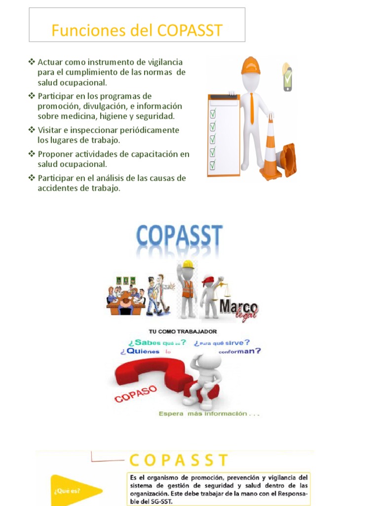 Funciones Del Copasst | PDF | Seguridad y salud ocupacional | Gobierno