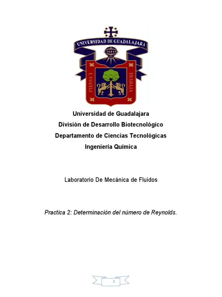 PRÁCTICA 2 Numero de reynolds | PDF | Viscosidad | Numero Reynolds