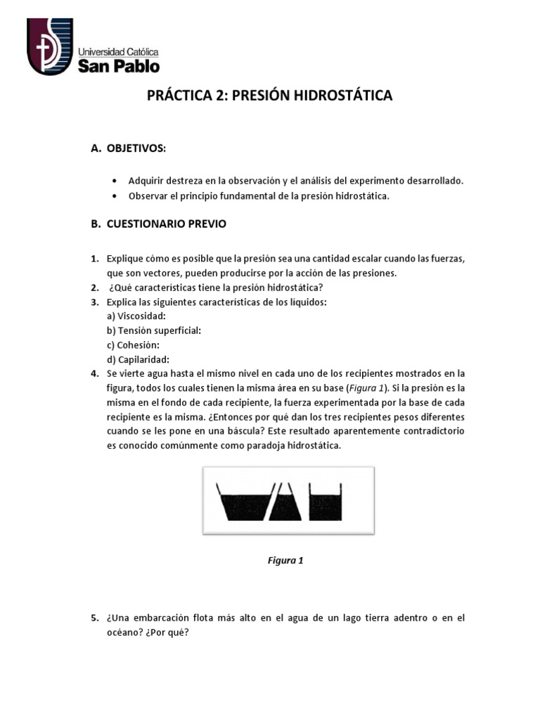 Experimento de Presión Hidrostática | PDF | Líquidos | Presión