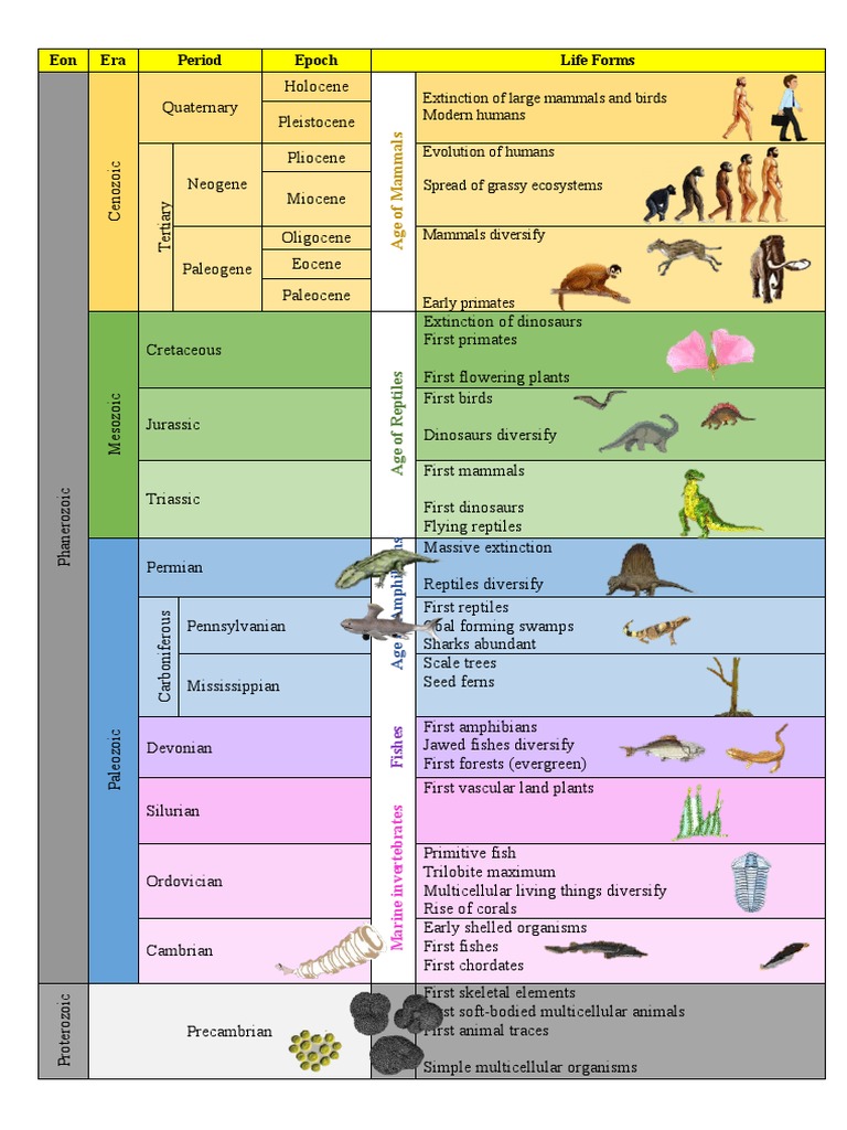 Eon Era Period Epoch Life Forms | PDF | Stratigraphy | Organisms