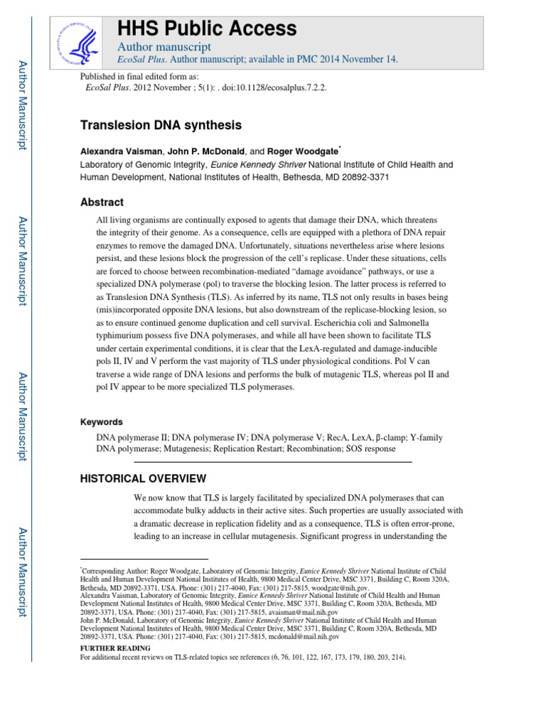 HHS Public Access: Translesion DNA Synthesis | PDF | Dna Repair ...