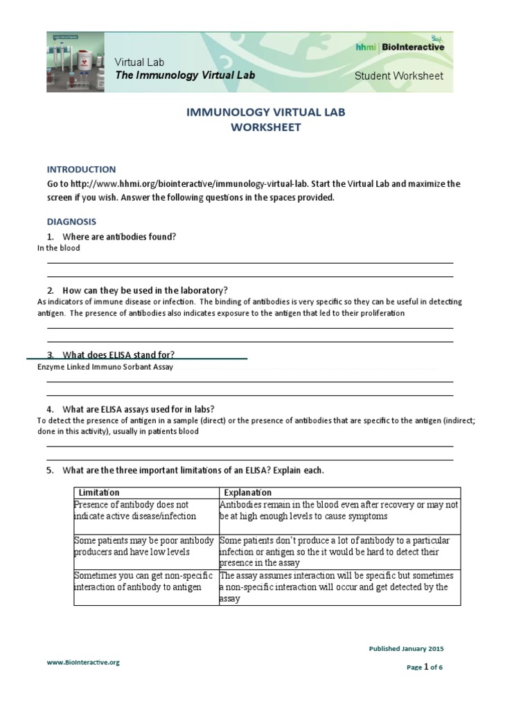 Immunology Virtual Lab Worksheet | PDF | Elisa | Antibody
