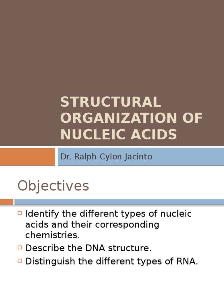 Nucleic Acid Chemistry Lecture | PDF | Nucleic Acids | Dna