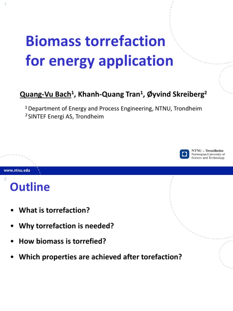 Biomass Torrefaction Process Explained | PDF | Biomass | Combustion