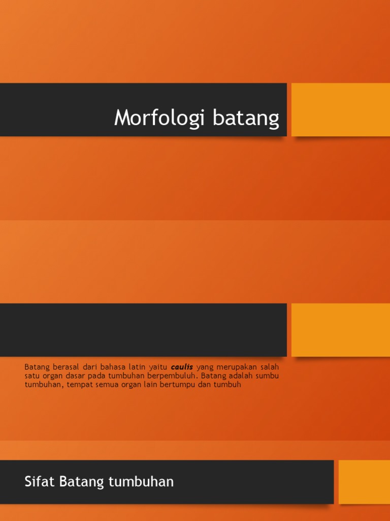 Morfologi dan Jenis-Jenis Batang Tumbuhan | PDF