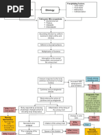UTI Pathophysiology Flowchart | PDF