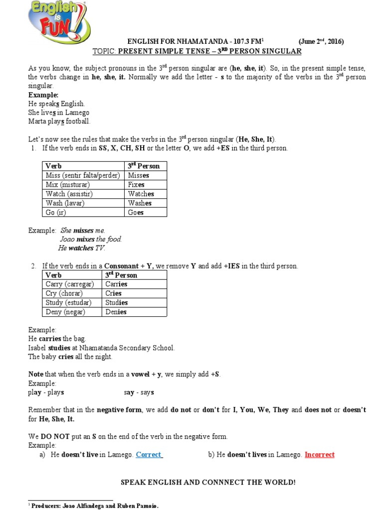 English Grammar for Beginners | PDF
