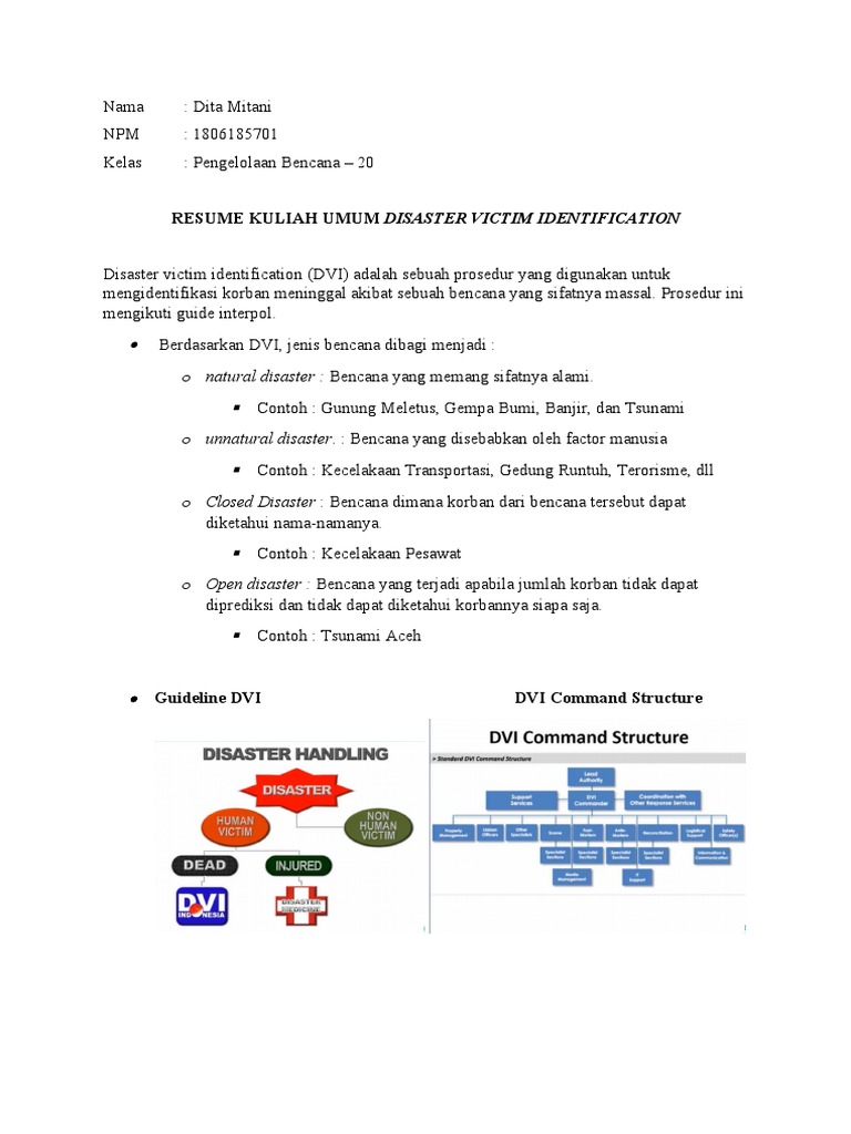 Resume Disaster Victim Identification - PB-20 - Dita Mitani ...