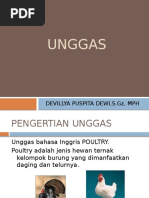 SNI Daging Ayam | PDF