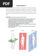 Cortes Anatomicos | PDF | Términos anatómicos de ubicación | Anatomía ...