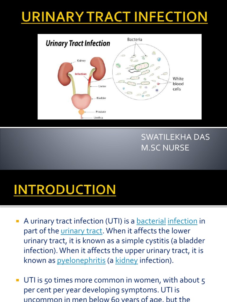 UTI Disorder PDF | PDF | Urinary Tract Infection | Urinary System