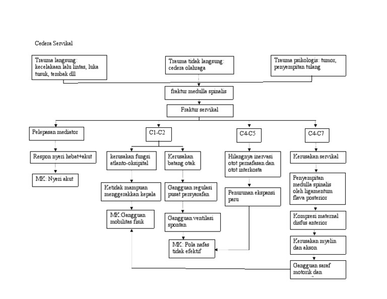 Pathway Servikal (Rahman) | PDF