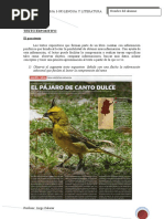 Estructura y Tipos de Limbo en Hojas | PDF | Hoja | Botánica