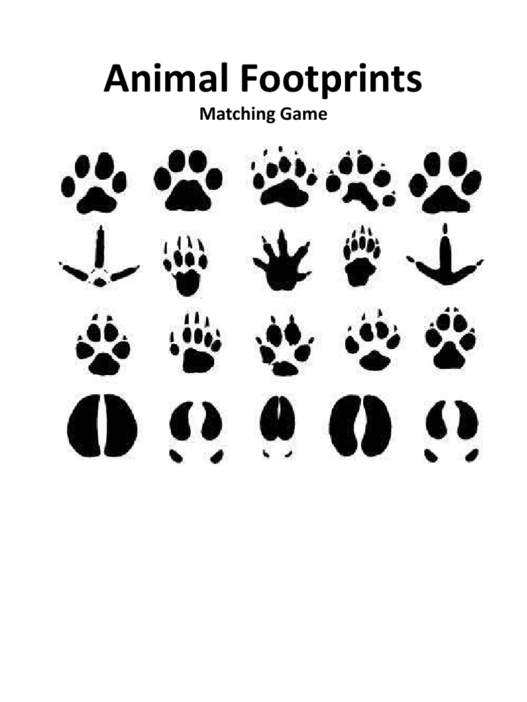 Animal Footprints: Matching Game | PDF