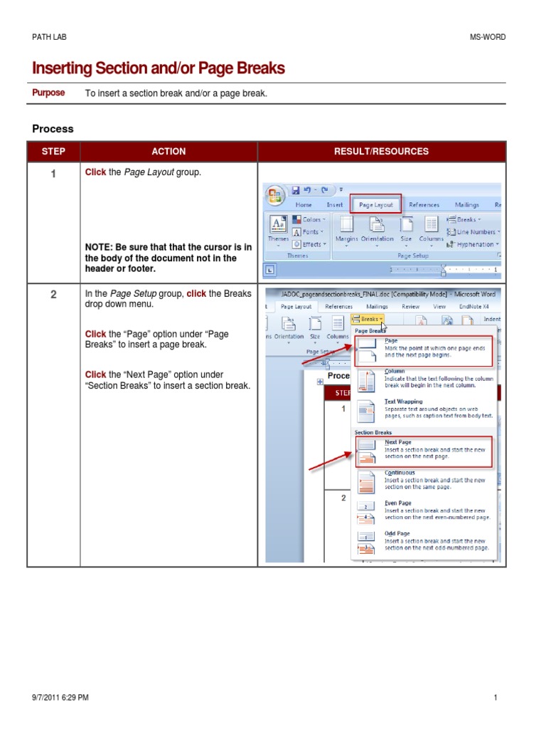 Inserting Section And/or Page Breaks: Process | PDF