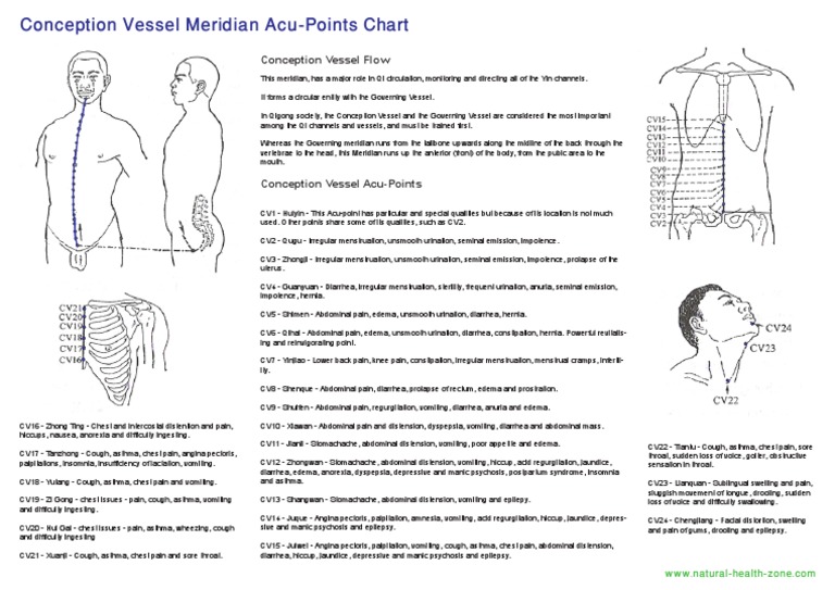 Conception Vessel PDF | PDF | Menstruation | Vomiting
