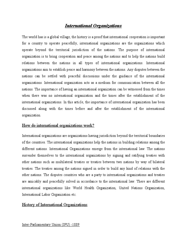 How Do International Organizations Work? | PDF | United Nations ...