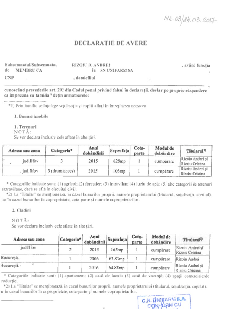 Declaratie Avere Rizoiu Andrei PDF | PDF