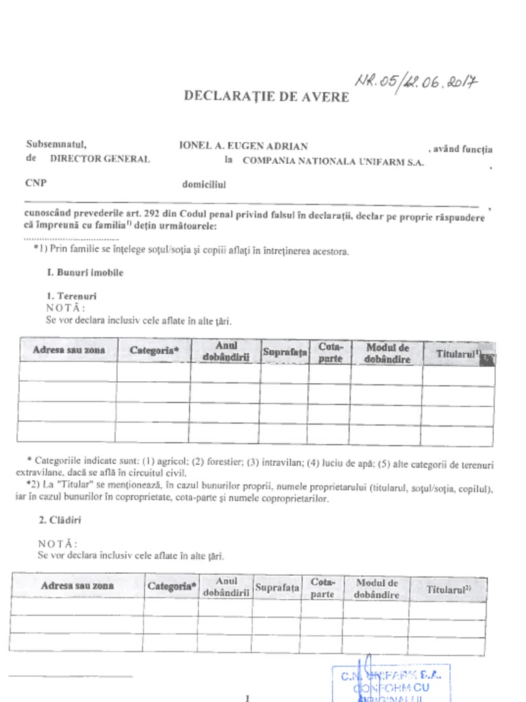 Declaratie Avere Ionel Adrian PDF | PDF