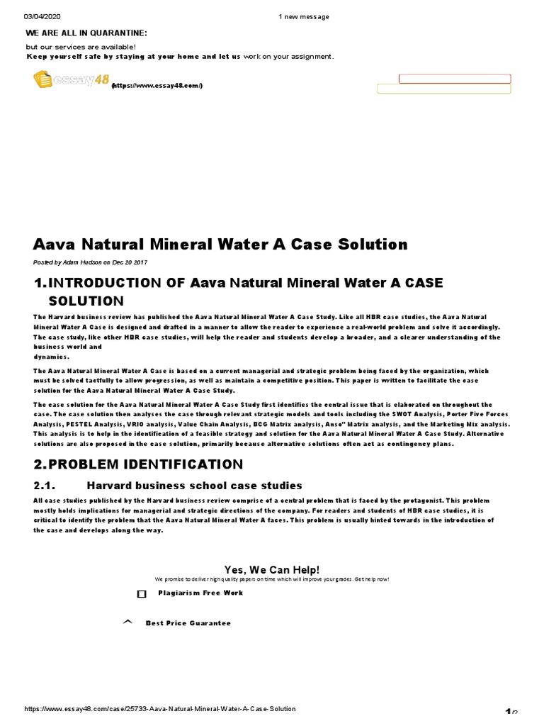 Ava Case Solution | PDF | Marketing Strategy | Retail