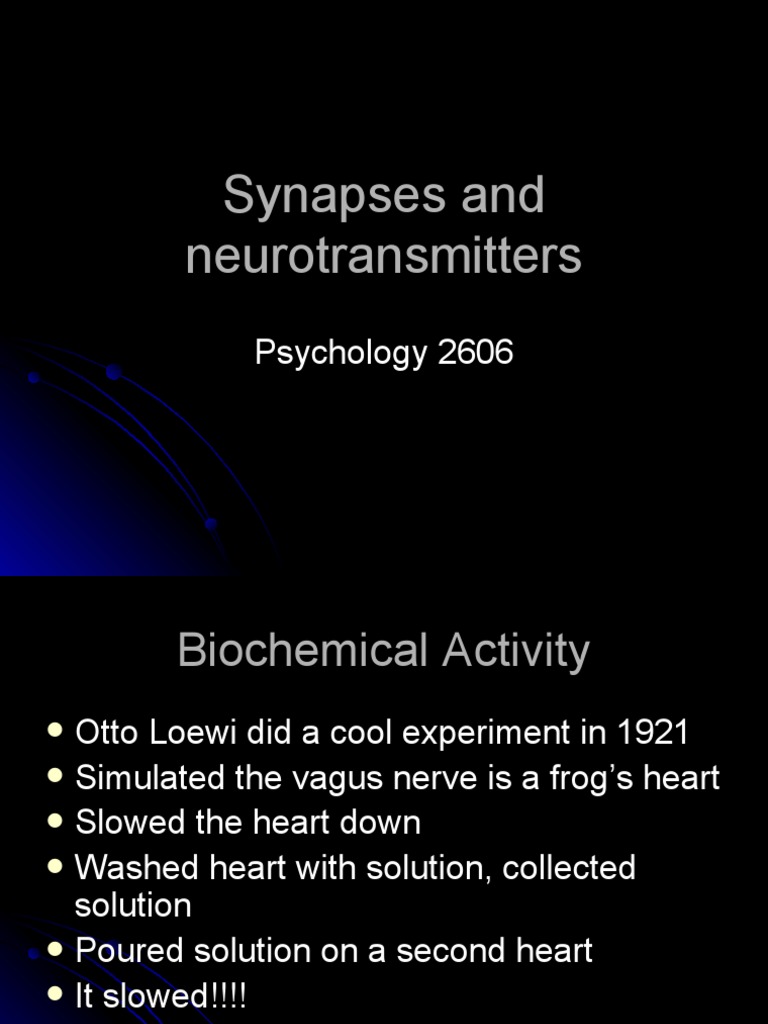 Synapses and Neurotransmitters | PDF | Neurotransmitter | Stimulus ...
